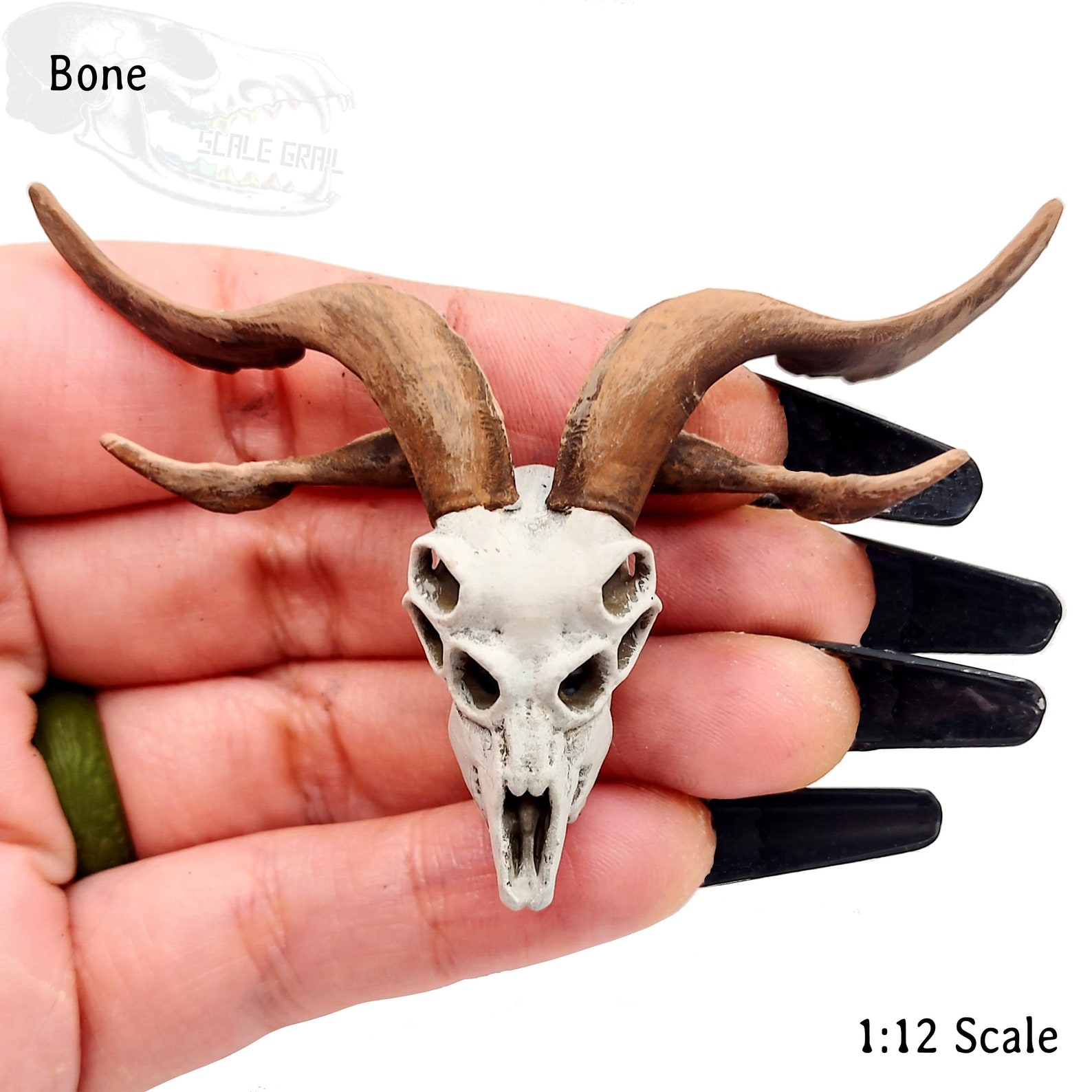 Demon Goat Skull 1:12 Scale Miniature Cranium Size for - Etsy