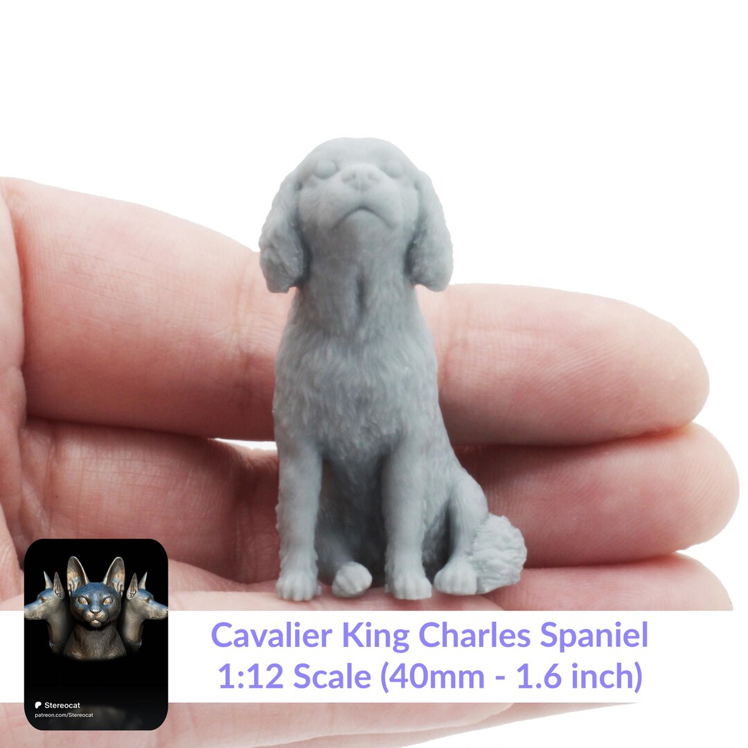 Cavalier King Charles Spaniel - 1:12 Scale Miniature Dog for Dollhouse ...