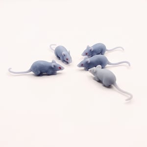 Miniature Rats - 1:12 Scale Miniature Size for Horror Diorama ...