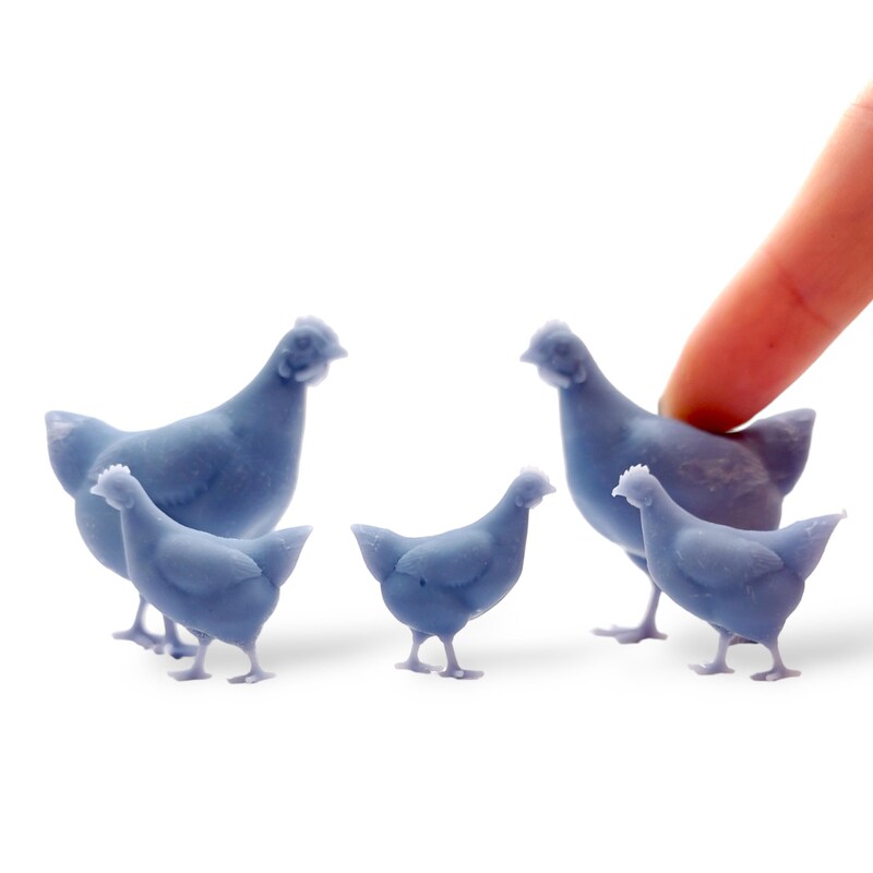 Miniature Chickens - Etsy