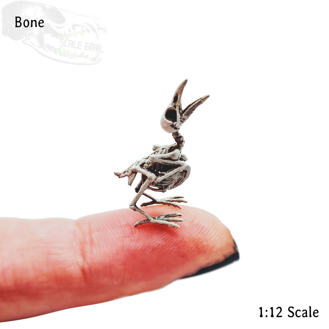 Raven Skeleton Full 1:12 Scale Miniature Size for Horror - Etsy