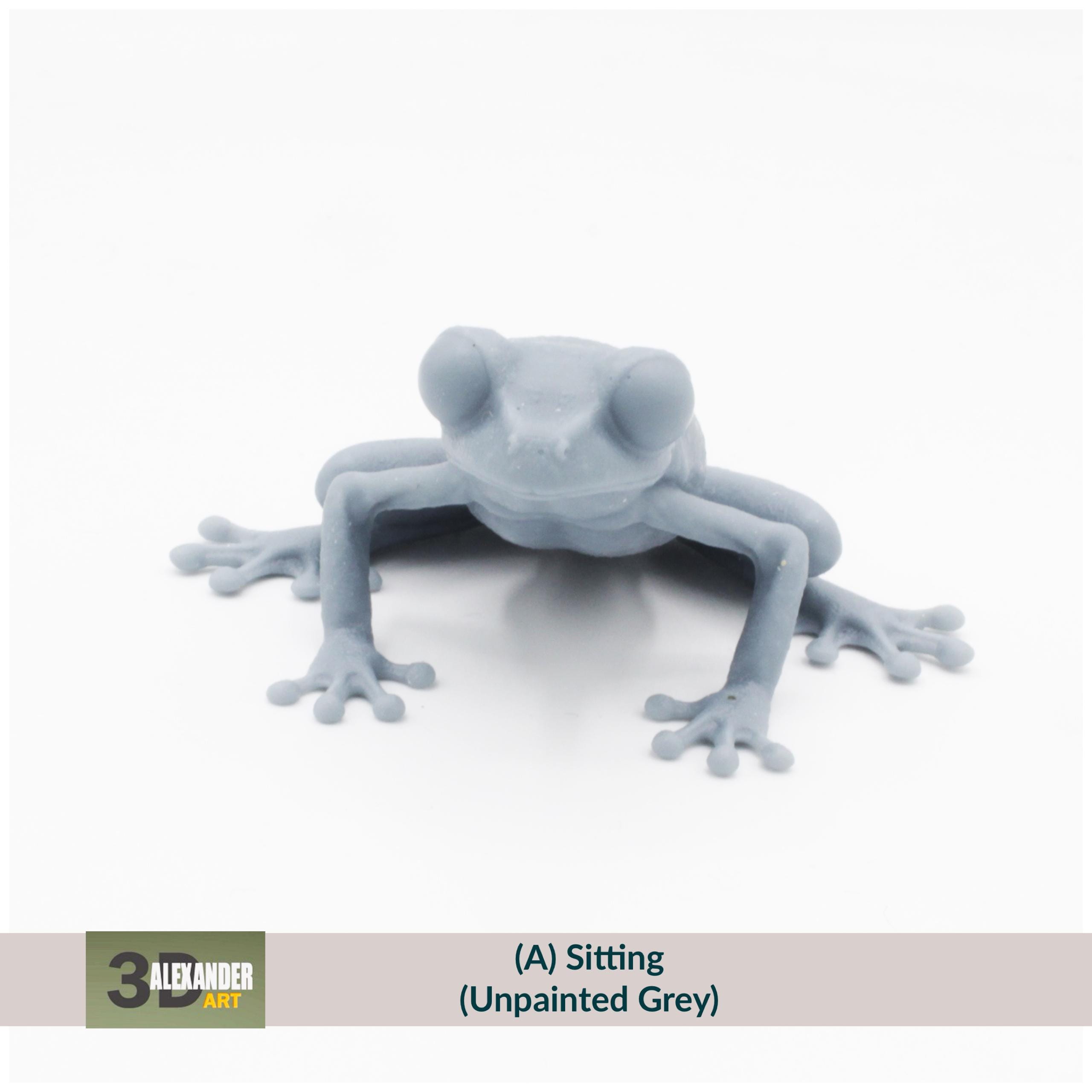 Tree Frog - 1:1 Scale Miniature Replica Animal Red Eye Tree Frog ...