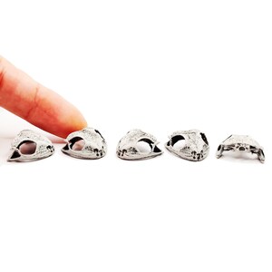 Tree Frog Skull 1:6 Scale Replica for Dioramas Terrariums - Etsy