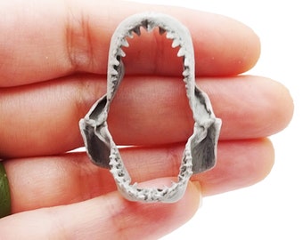 Human Ribs With Spine 1:12 Scale Miniature Size for Horror Diorama ...