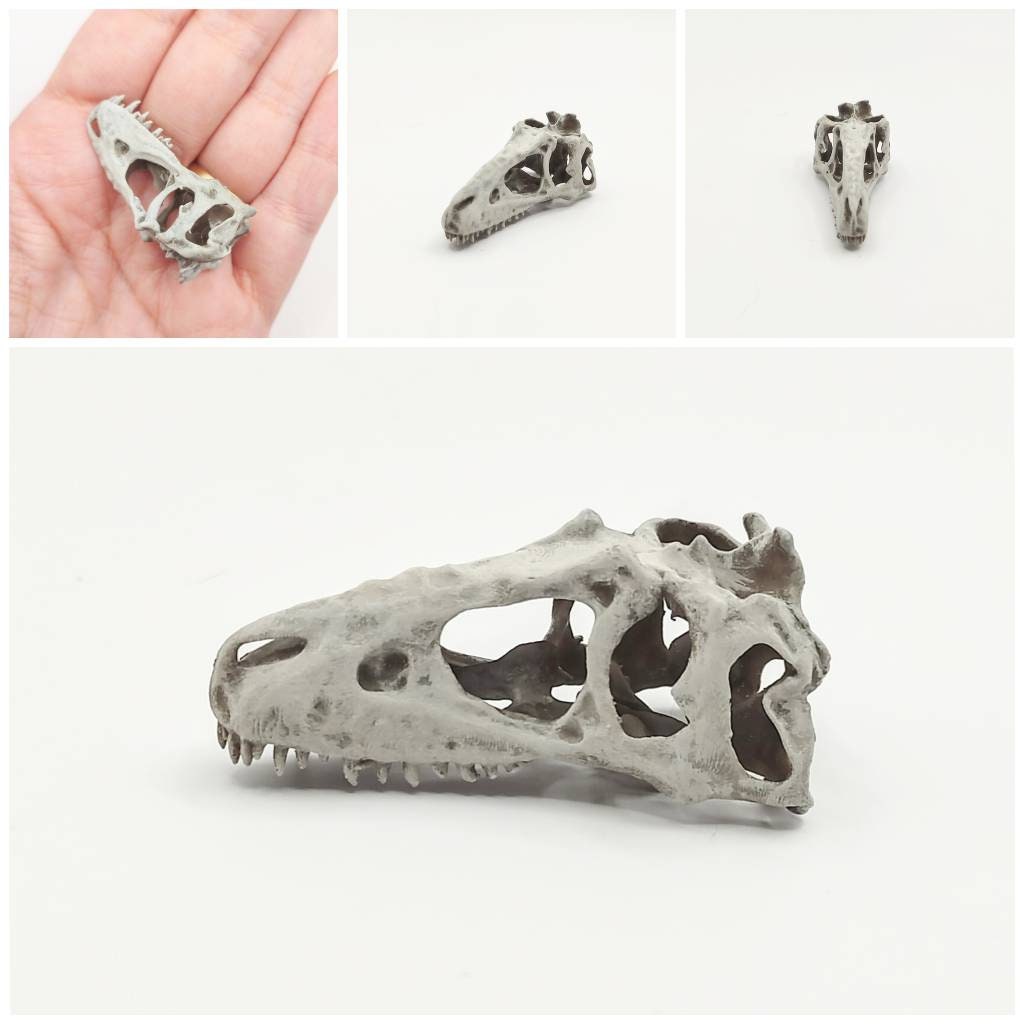 T-rex young Cranium Dinosaur Skull Replica 1:24 Scale for - Etsy