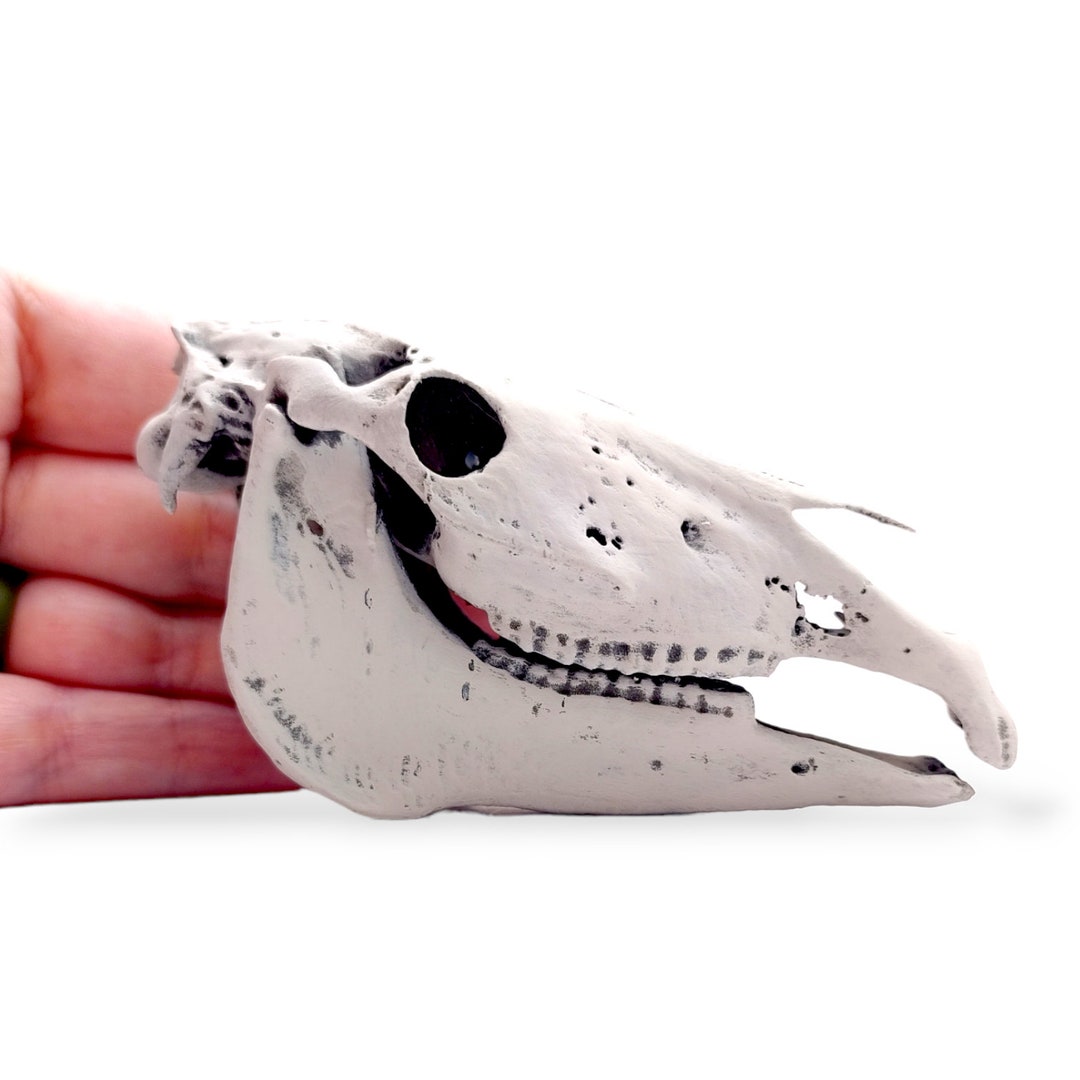 Horse Skull Miniature 1:6 Scale Replica for Diorama, Horror Scenes ...