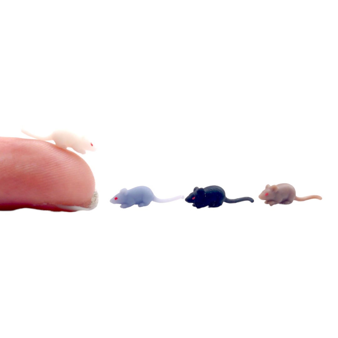 Miniature Rats - 1:24 Scale Miniature Size for Horror Diorama ... Miniature Rats - 1:24 Scale Miniature Size for Horror Diorama ...