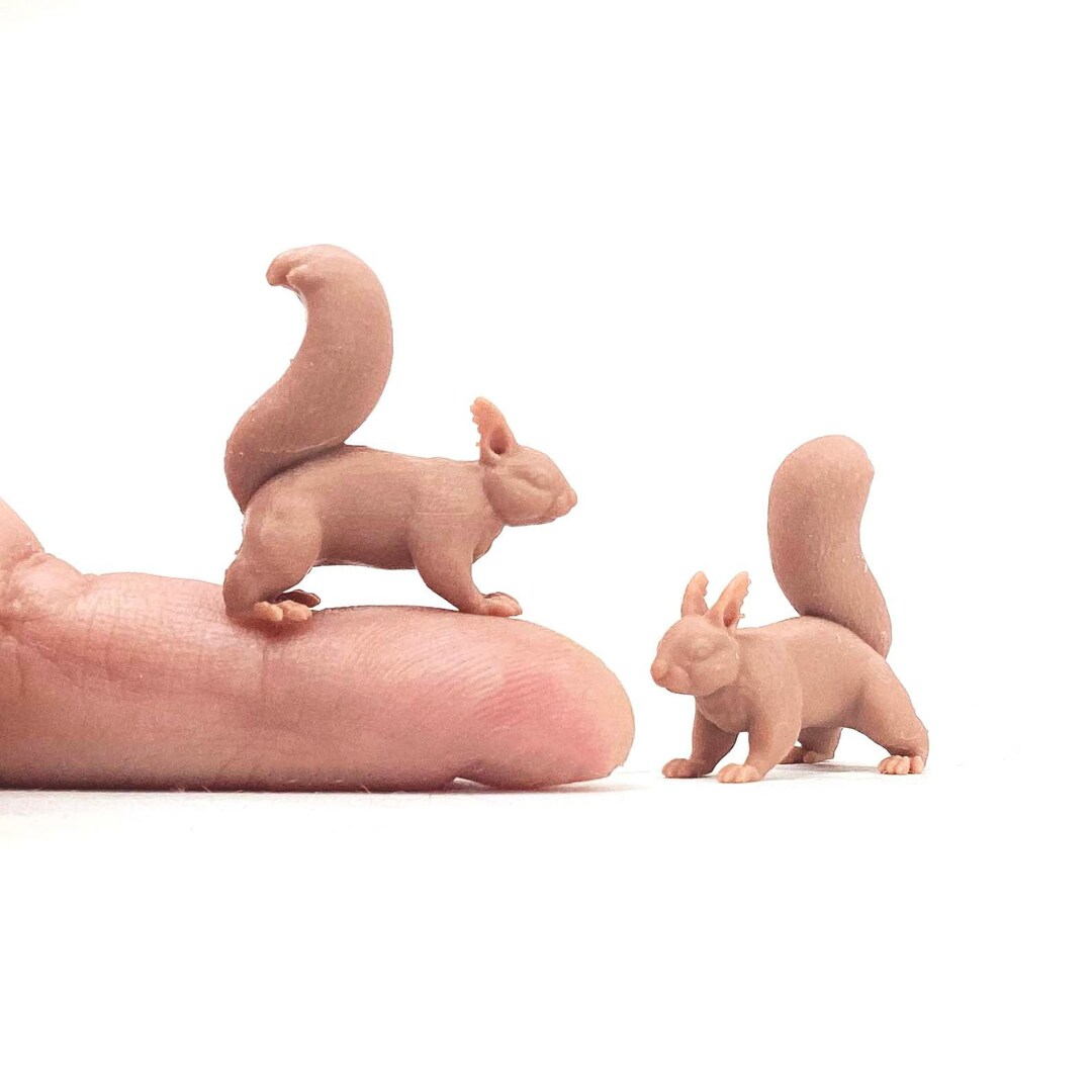 Miniature Squirrels - 1:12 Scale Dollhouse and Diorama Minis Garden Woodland Animals for Arts ...