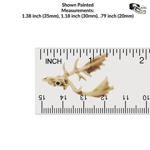 Fallow Deer Skull - 1:24 Scale Replica Animal for Dollhouse, Diorama ...
