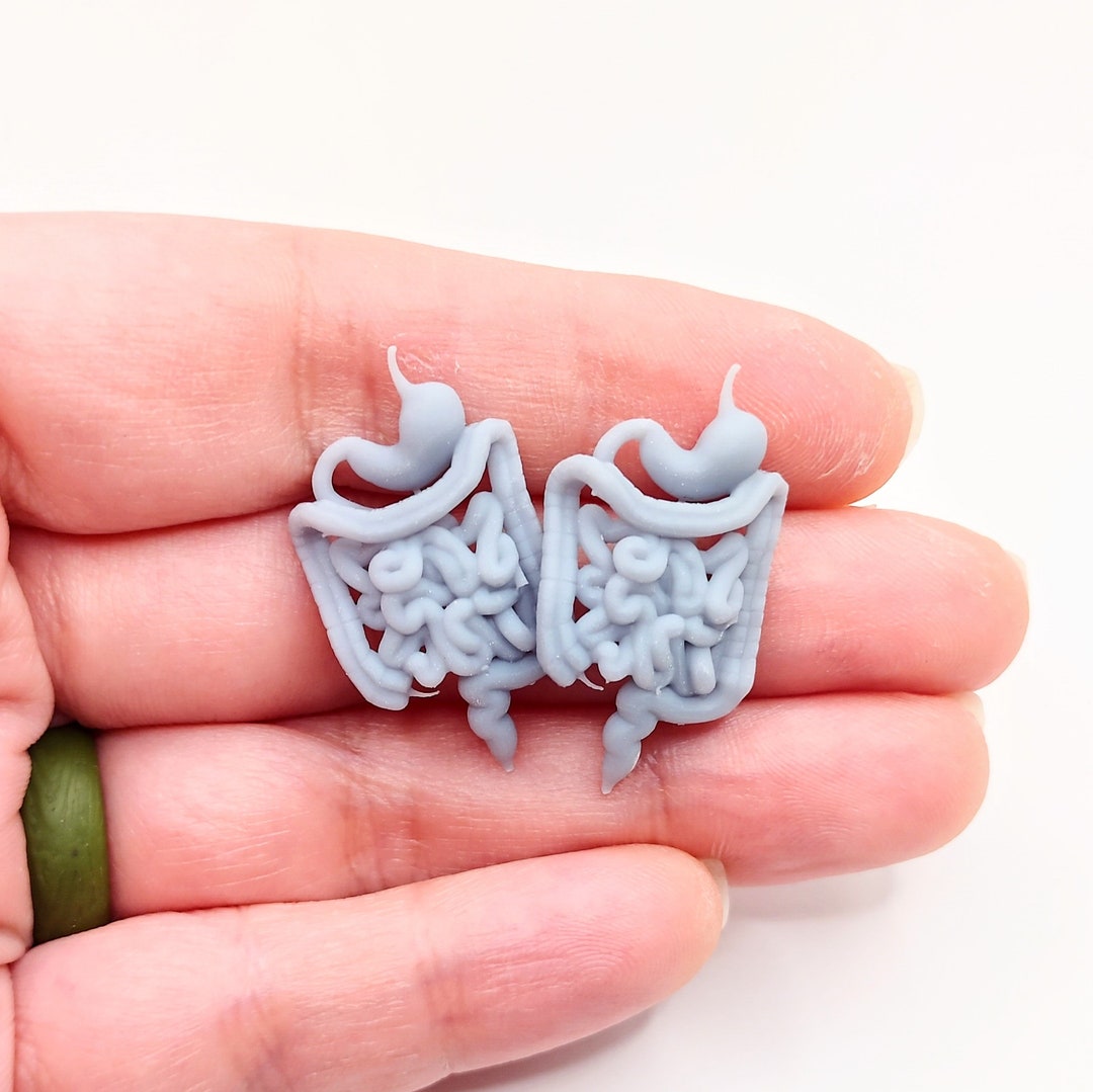 Human Guts - Intestines and Stomach for 1:12 Scale Dioramas, Horror ...