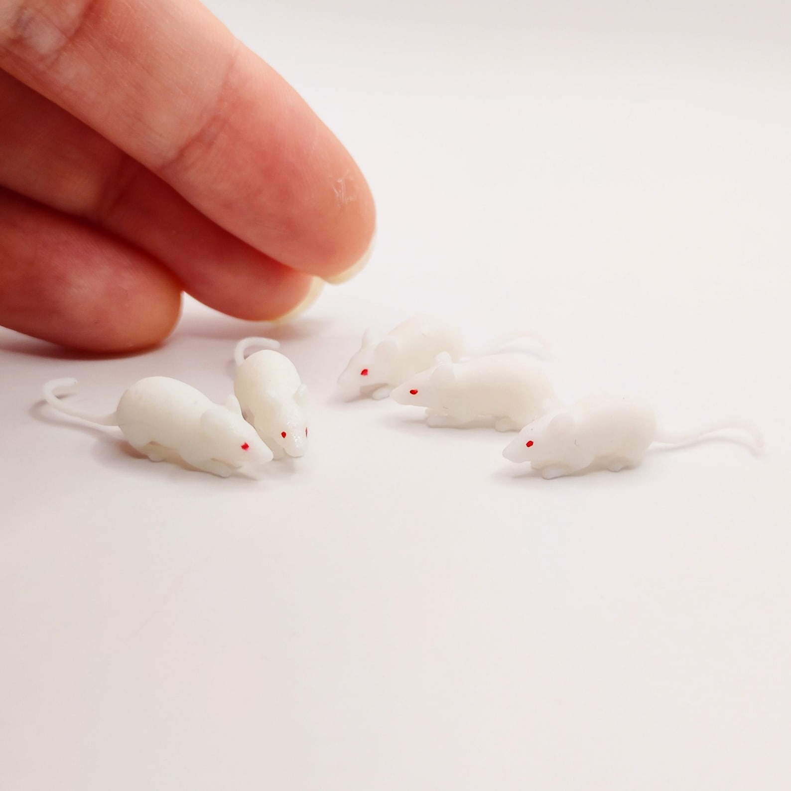 Miniature Rats 1:12 Scale Miniature Size for Horror Diorama, Dollhouse ...