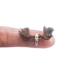Moose Skull Replica, 1:48 Scale Miniature Cranium for Fairy Garden ...