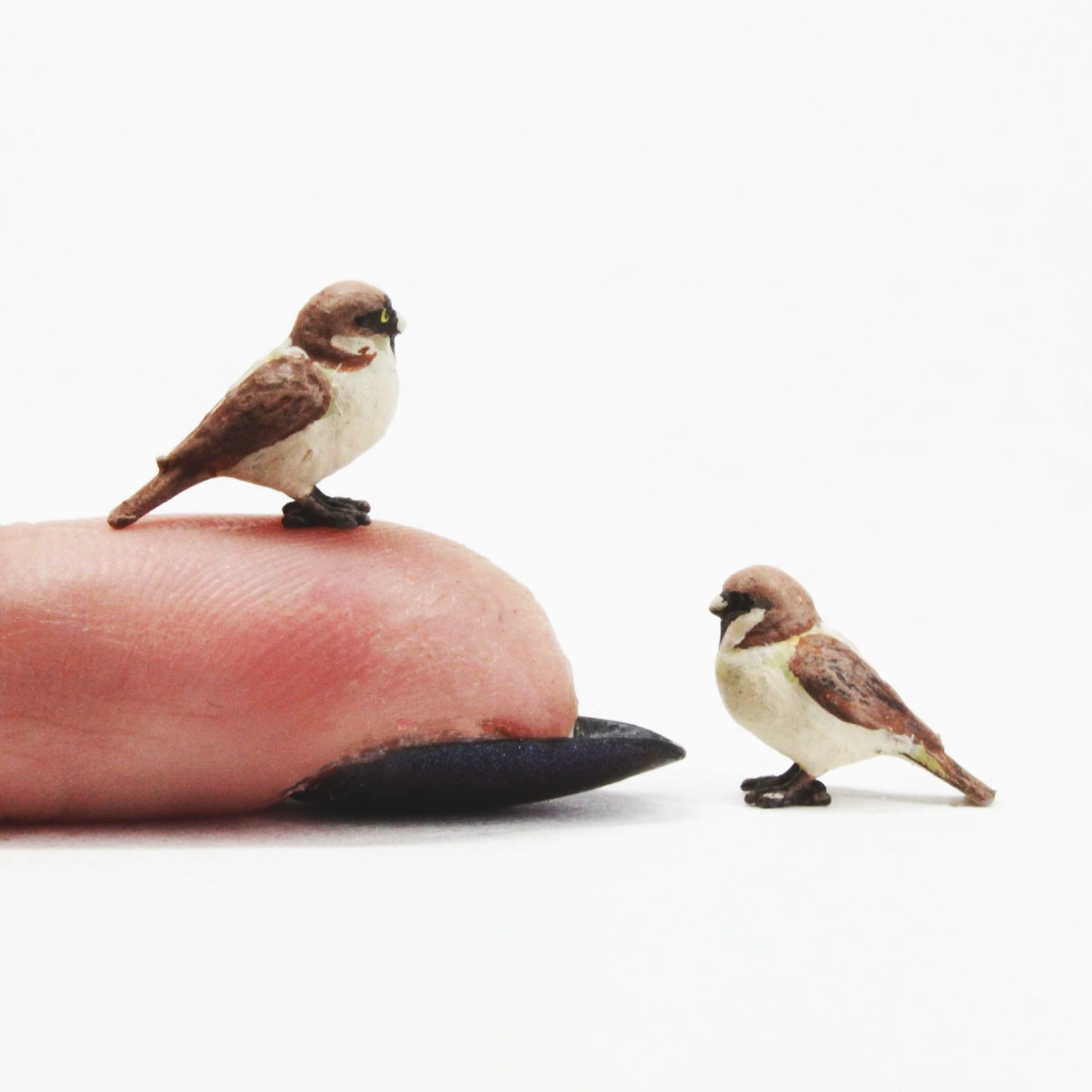 Miniature Sparrow Bird Figurines 1:12 Scale Woodland Garden Mini for ...