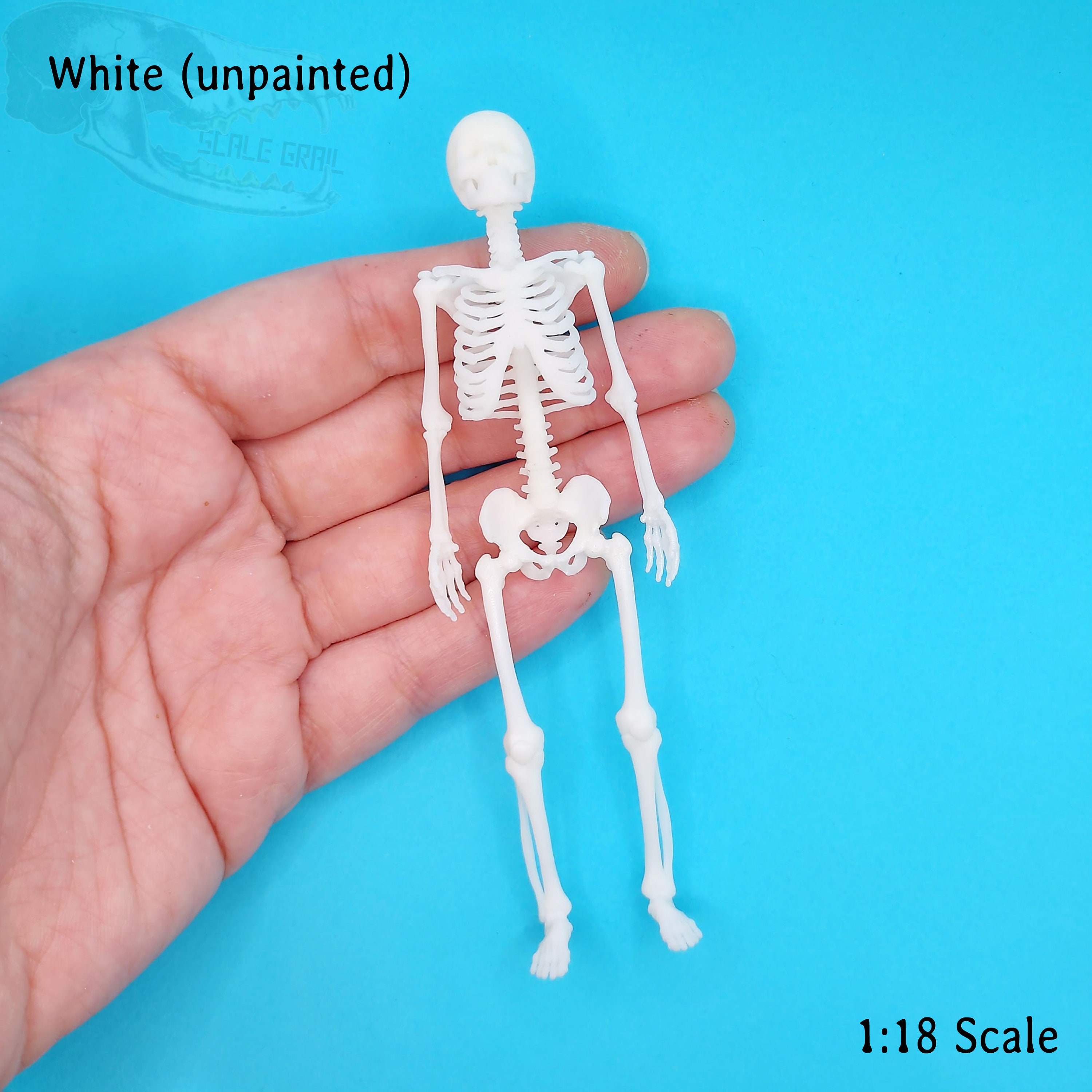 Human Skeleton Full 1:18 Scale Miniature Size for Horror - Etsy