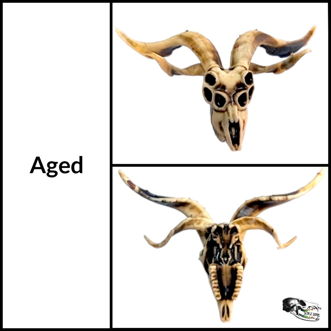 Demon Goat Skull - 1:24 Scale Miniature Cranium Size for Occult Diorama ...