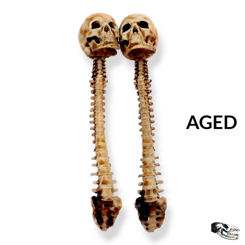 Human Skulls With Spine, 1:12 Scale Diorama Trophy, Horror Scenes ...