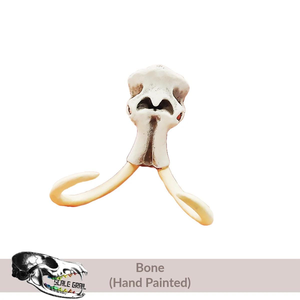 Woolly Mammoth Skull (field Bones Core Series: Extinct) Miniature ...
