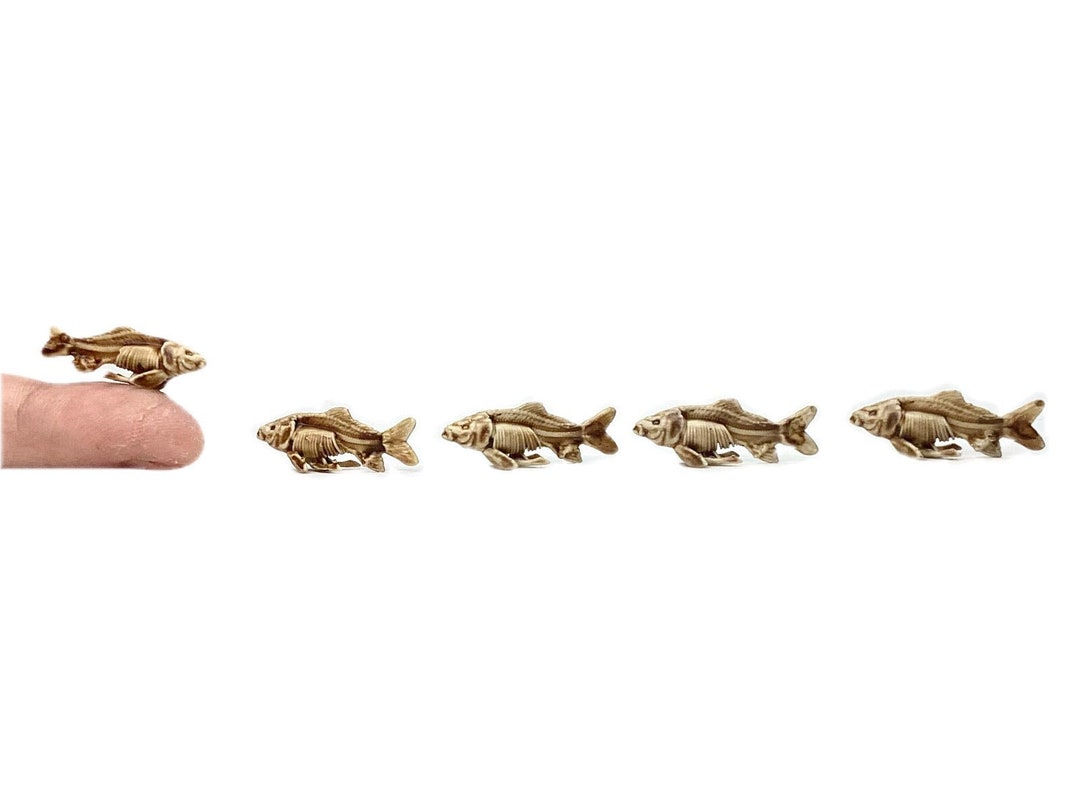 Miniature Fish Skeleton Replica - 1:12 Scale Dollhouse Diorama Figurine ...