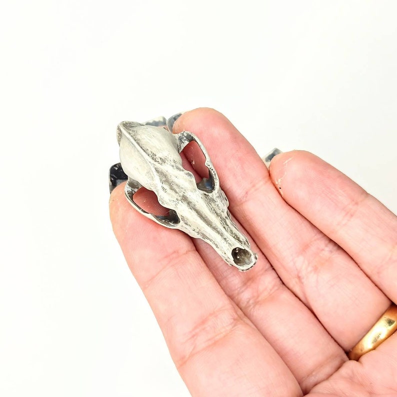 Fox Skull Cranium and Jaw 1:6 Scale Skull Replica for | Etsy