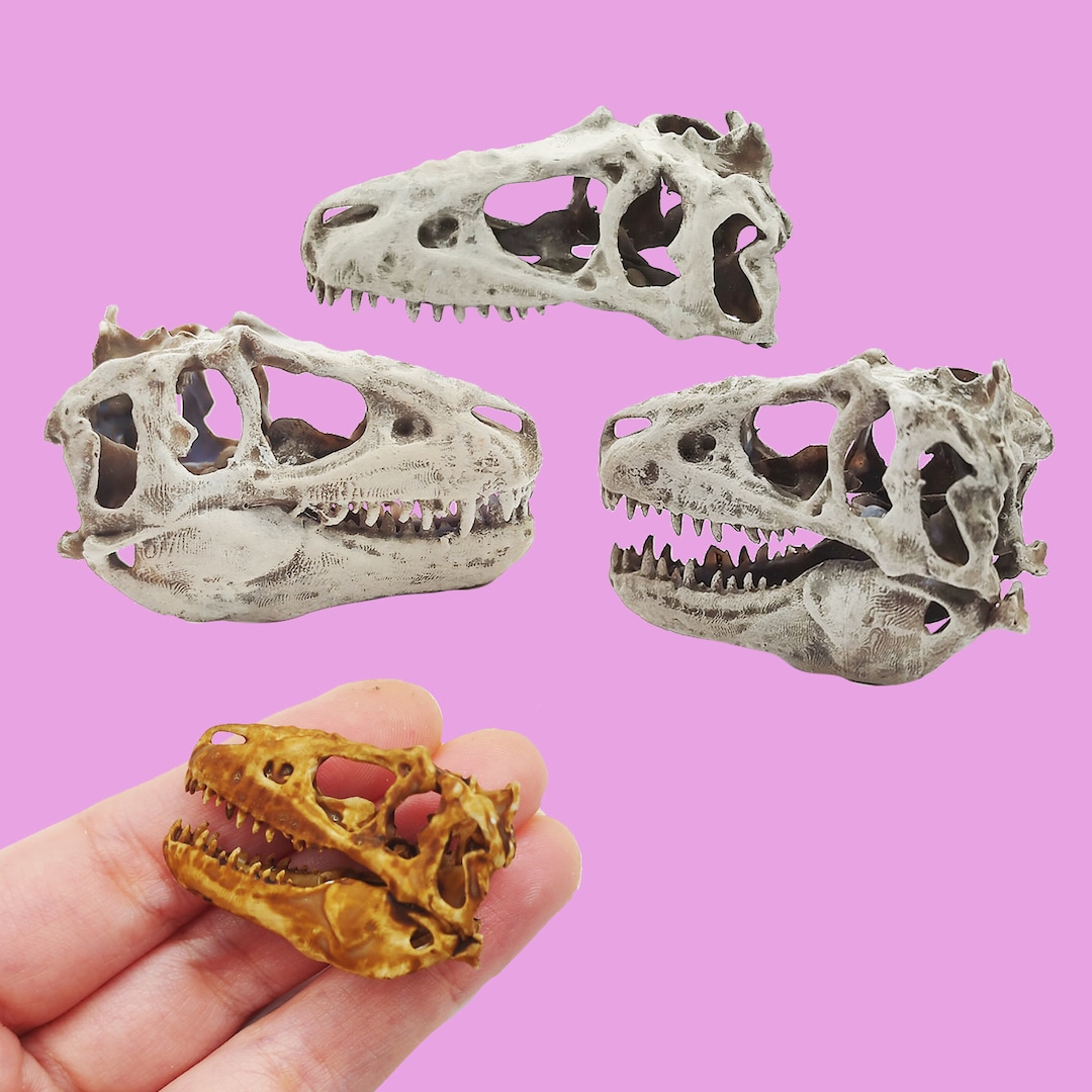 T-rex (young) Cranium Dinosaur Skull Replica - 1:24 Scale for Diorama ...