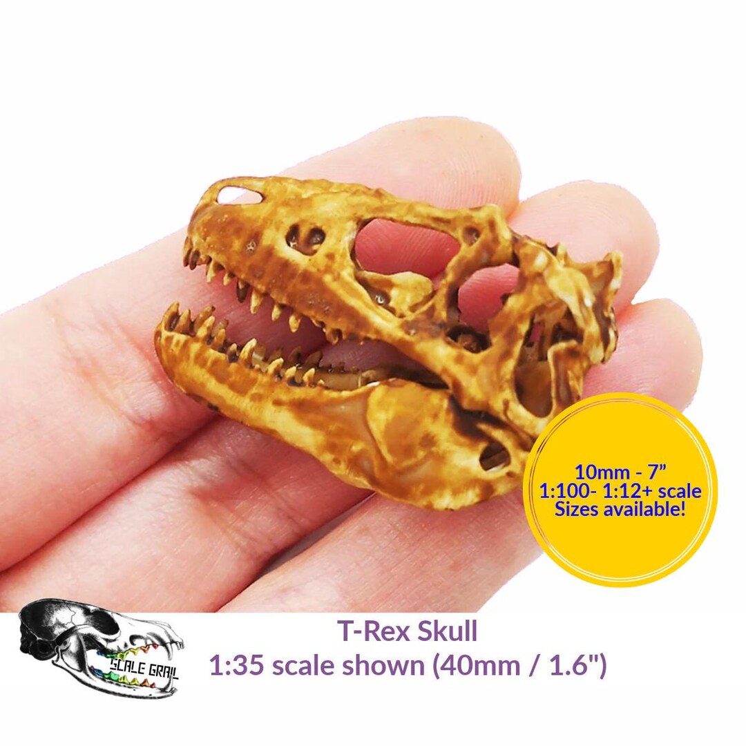 T-rex Skull Replica - (field Bones Core Series - Diorama, Miniature ...