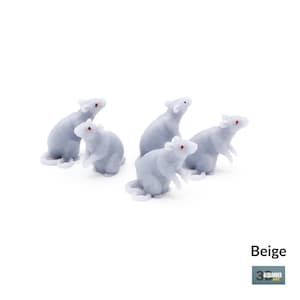 Rats - 1:12 Scale Miniature Animal for Dollhouse, Diorama by Alexander ...