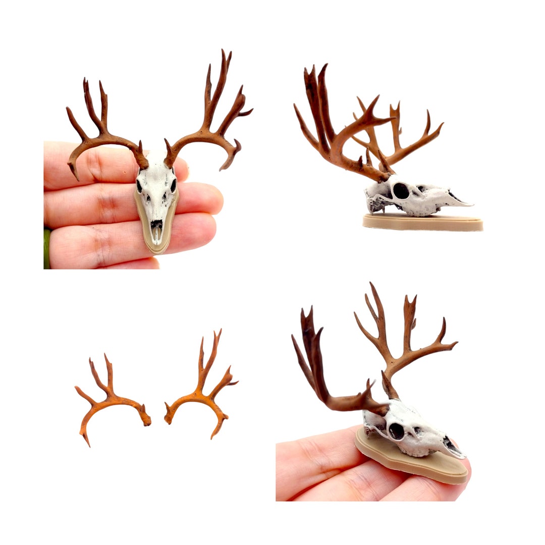 Mule Deer Skull - 1:12 Scale Miniature Antlers Realistic 3d Printed ...