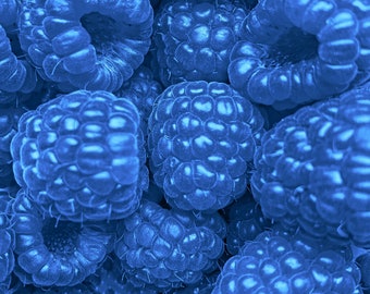 Blue Raspberry Fruit