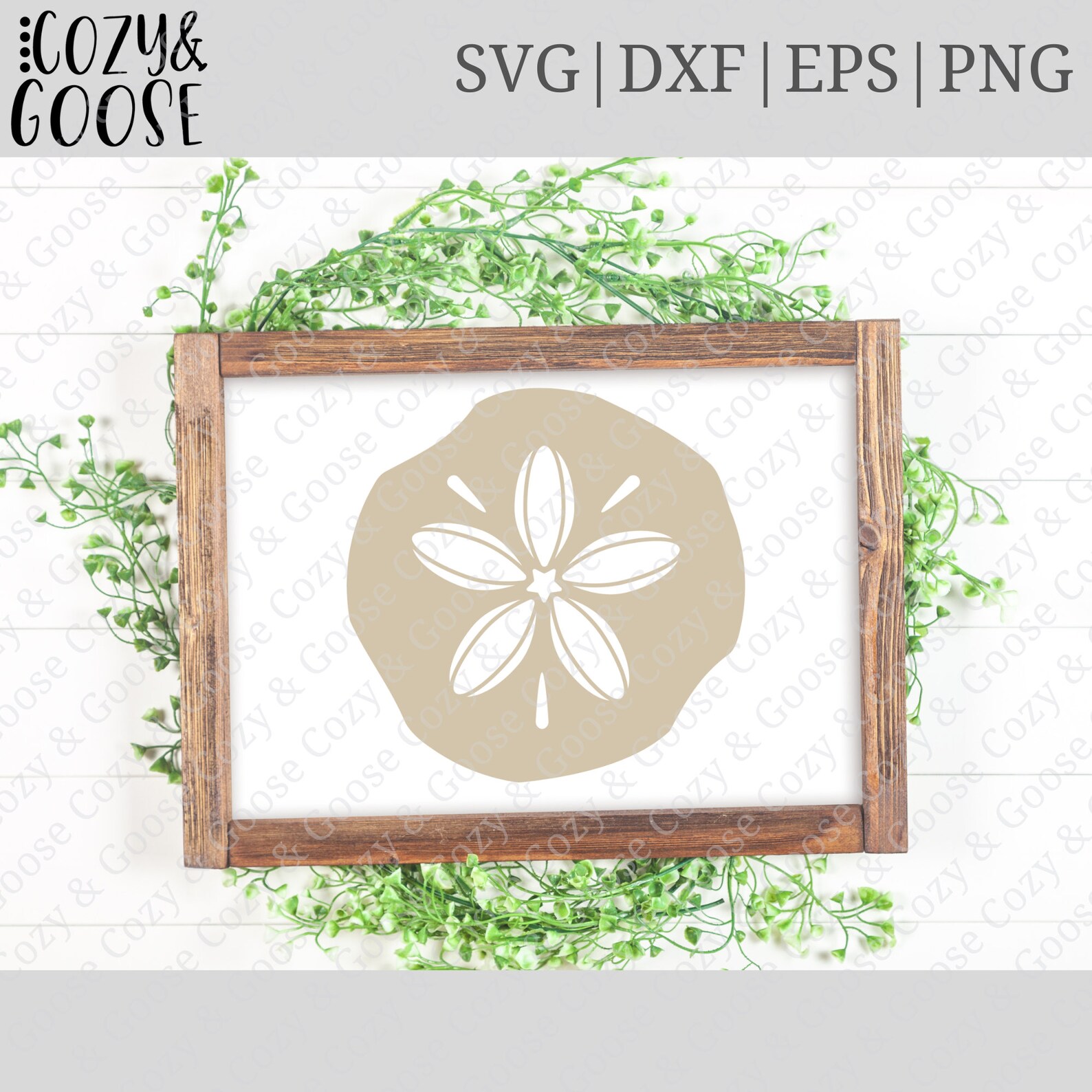 Sand Dollar SVG - Beach SVG - Coastal Items SVG - Seashell Svg ...