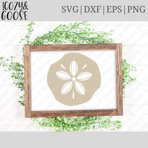 Sand Dollar SVG - Beach SVG - Coastal Items SVG - Seashell Svg ...