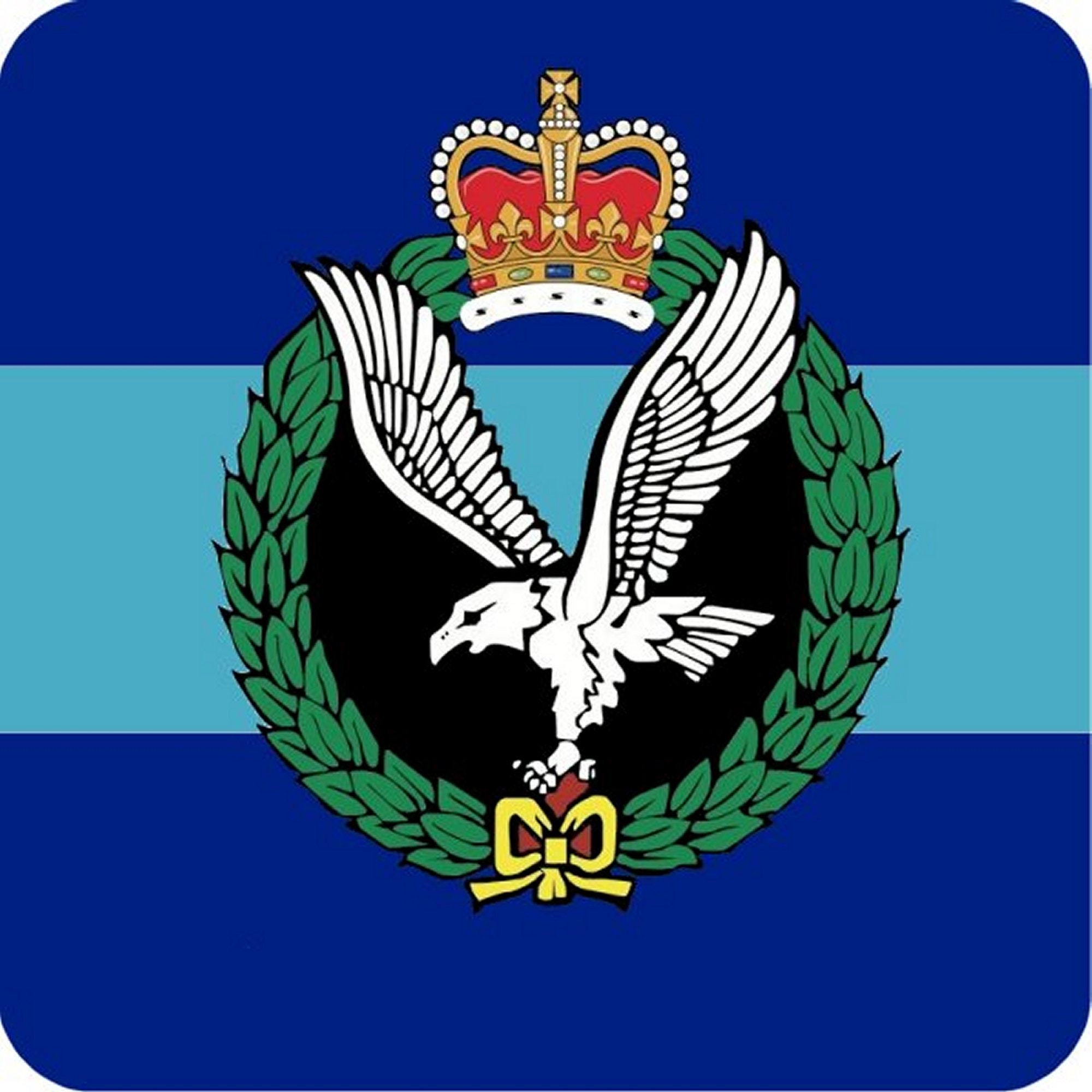 Pack of Six Army Air Corps Military Aluminium Coasters - Etsy UK