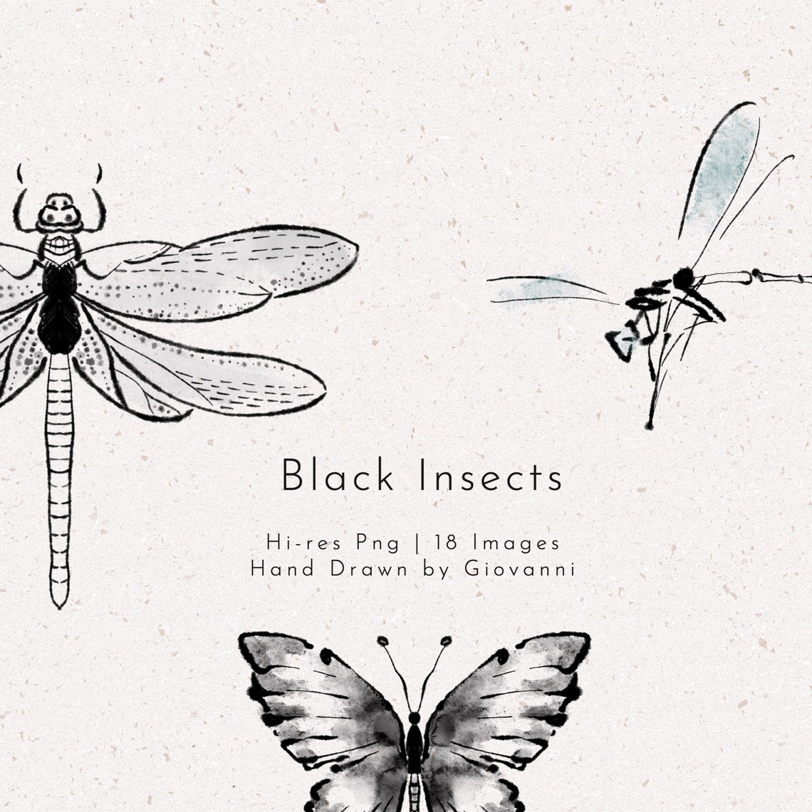 18 Black Insects Pngs, Watercolor, Fine Art, Hand Drawn by Giovanni ...