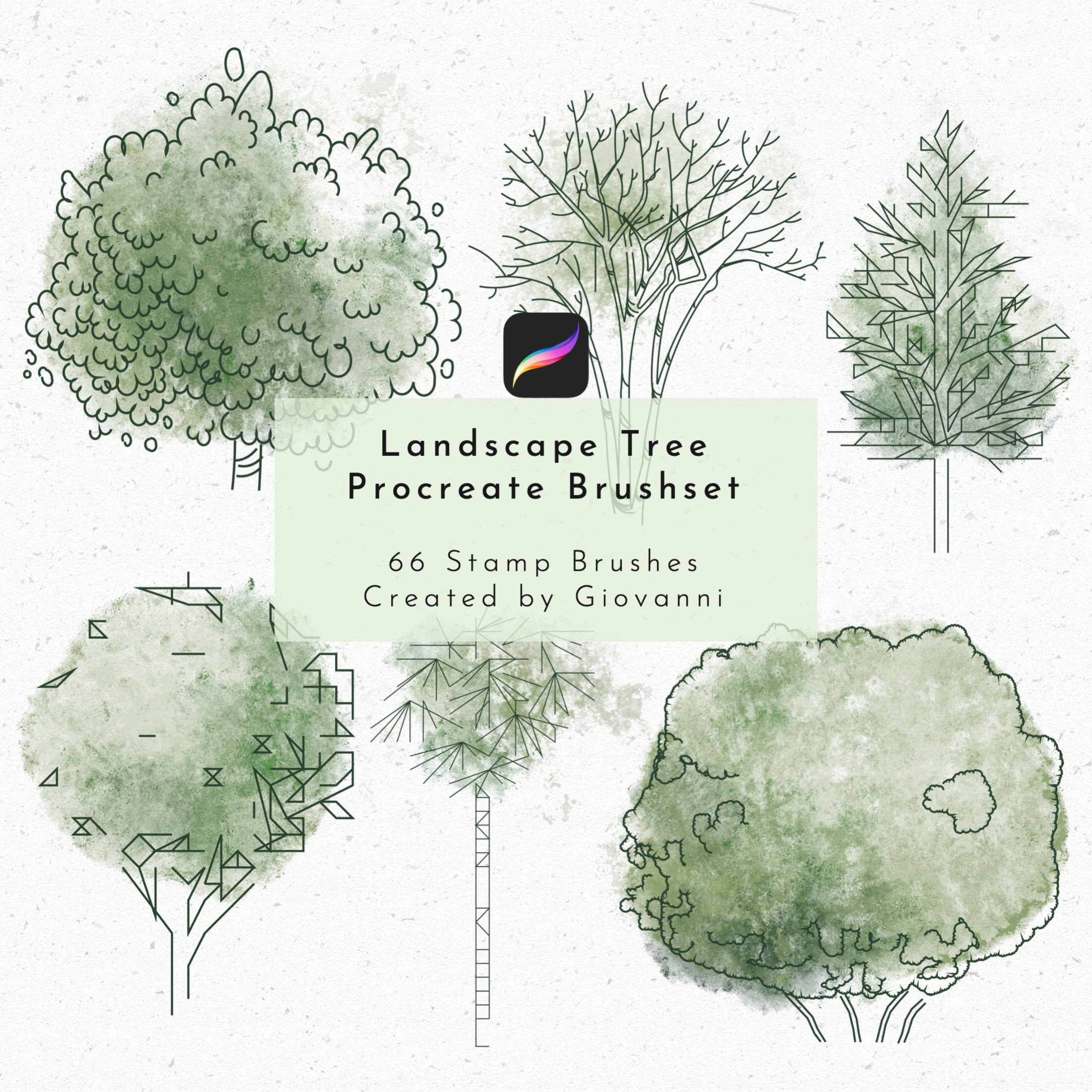 How To Draw Trees Landscape Architecture