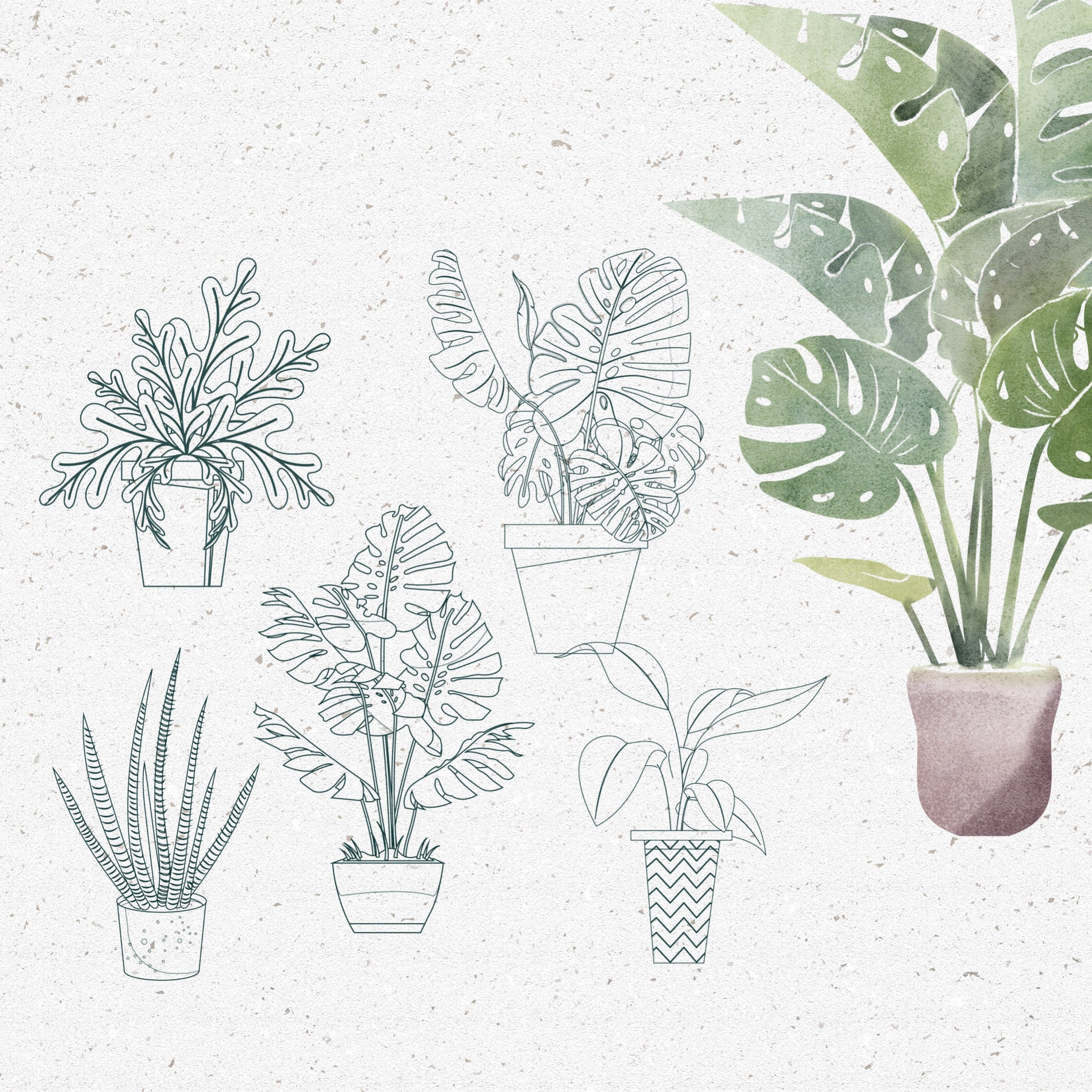 Procreate Potted Plant Brush, 50 Potted Plant Outline Brush, Procreate ...