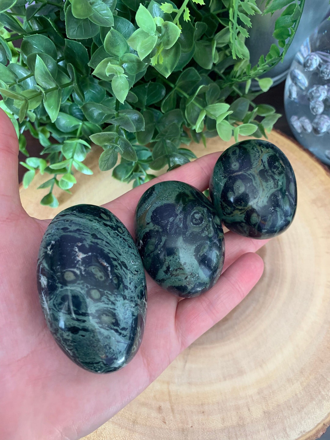 KAMBABA JASPER- Green and Black Kambaba Jasper Palm Stone- Jasper Stone ...