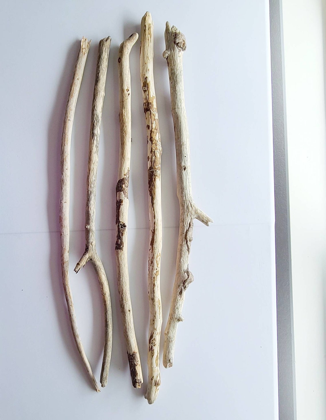 29-36in Driftwood Washington Beach Sticks New Age Wands | Etsy