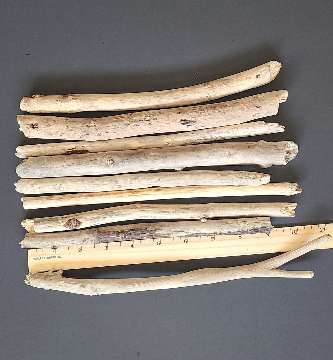 5-6in Driftwood stick set Washington Beach Sticks New Age | Etsy