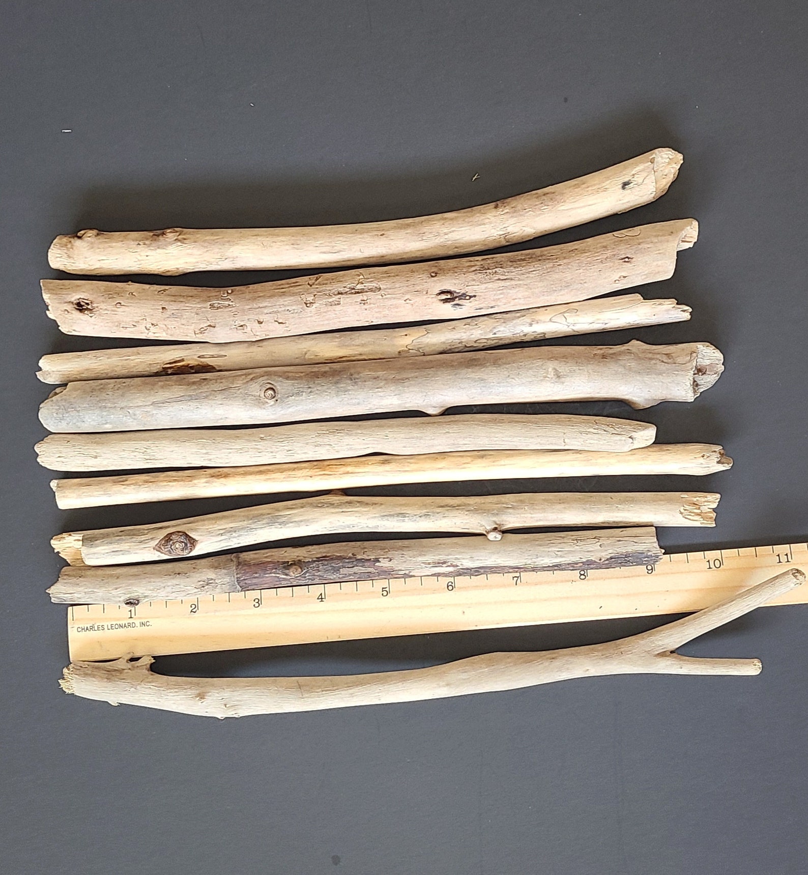 5-6in Driftwood stick set Washington Beach Sticks New Age | Etsy