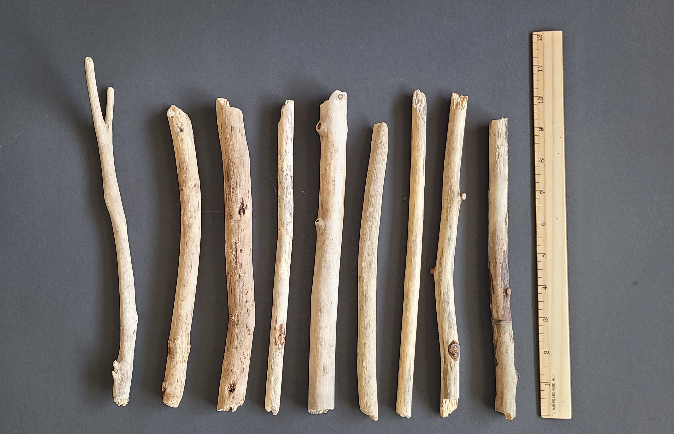 5-6in Driftwood Stick Set Washington Beach Sticks New Age - Etsy UK
