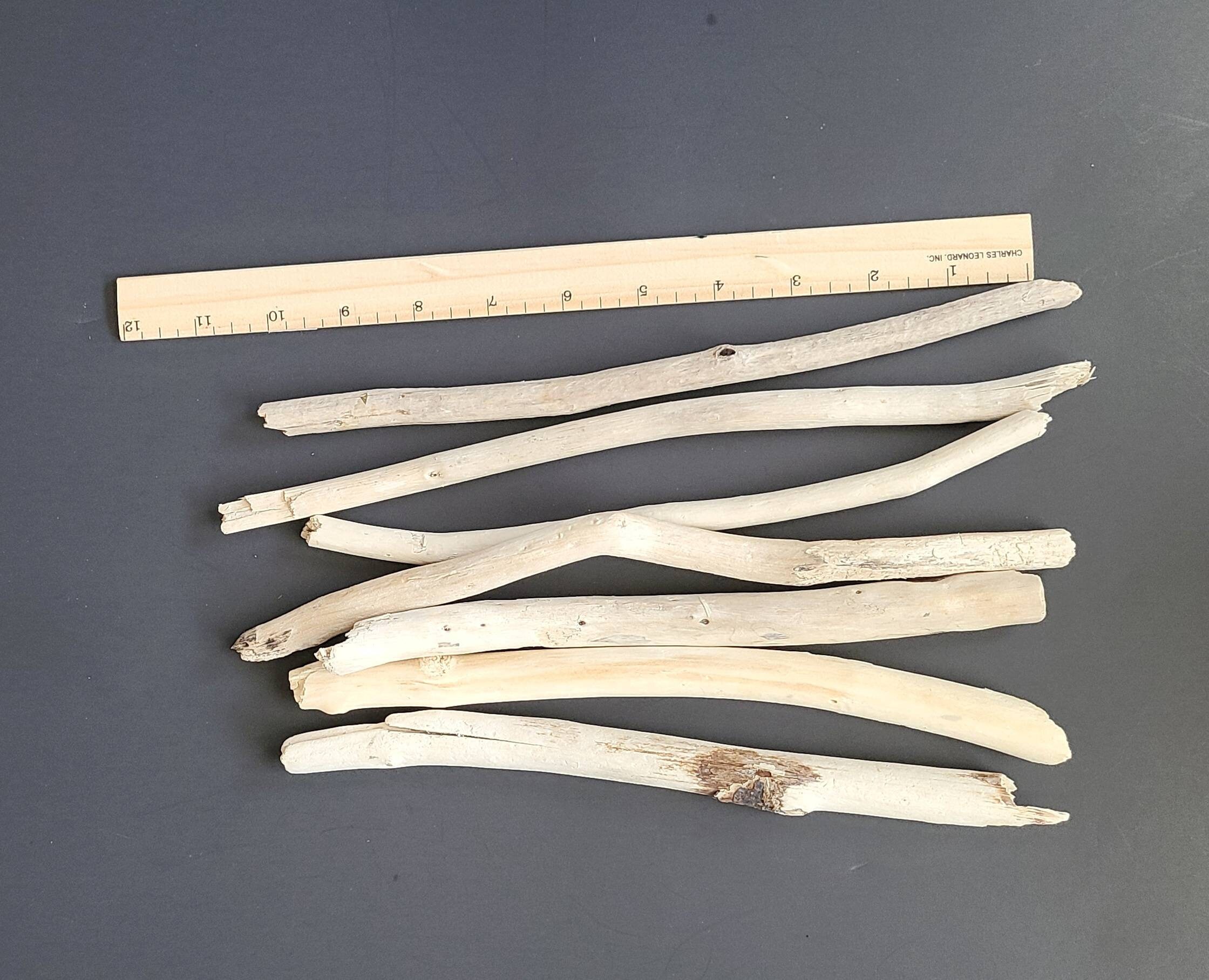 9-10in Driftwood Stick Set Washington Beach Sticks New Age - Etsy