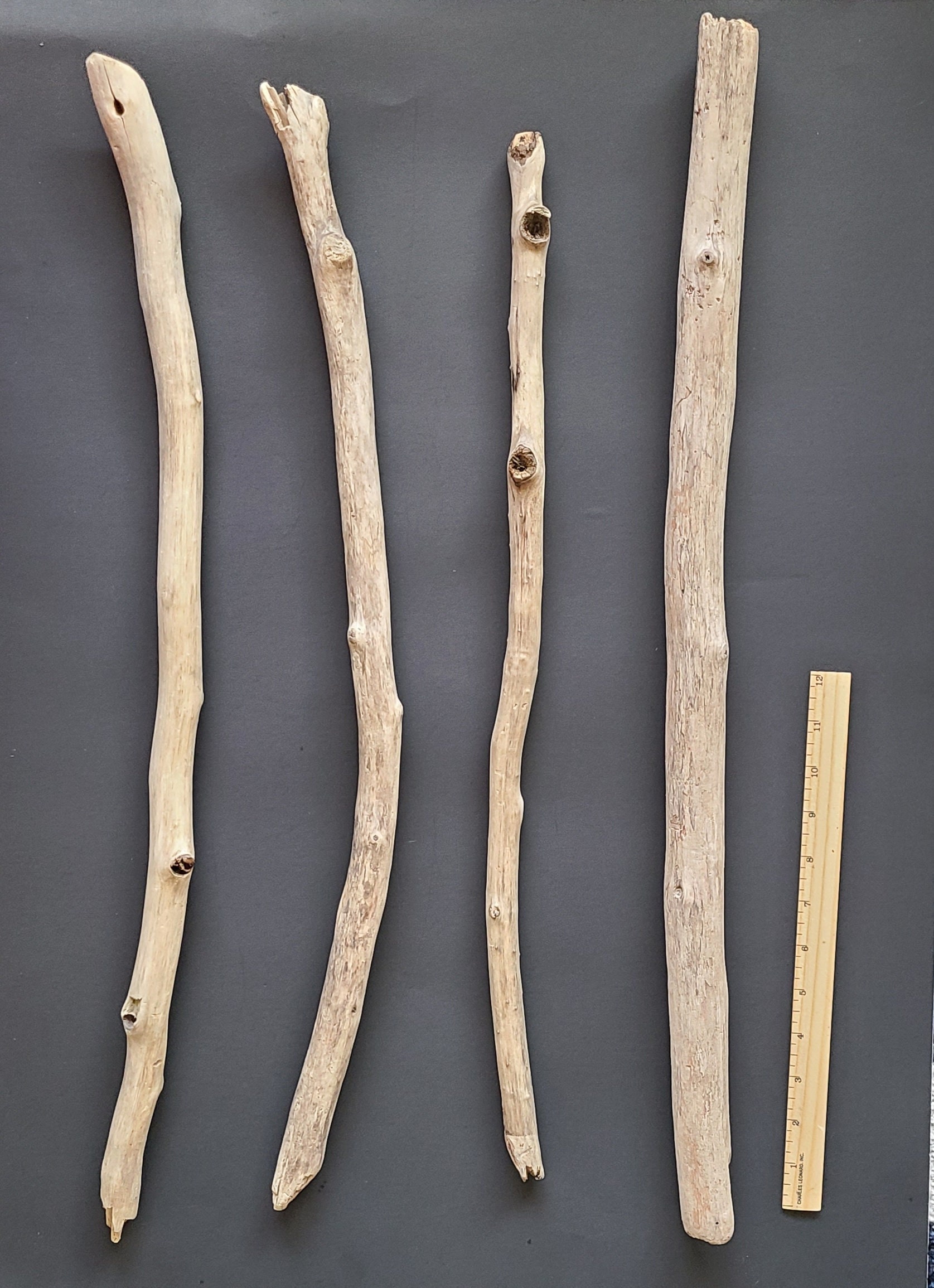 20-24in Driftwood Washington Beach Sticks New Age Wands | Etsy