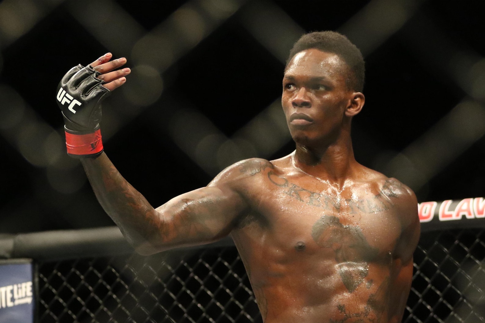 Israel Izzy Adesanya Come Here Poster 24x36 inches | Etsy