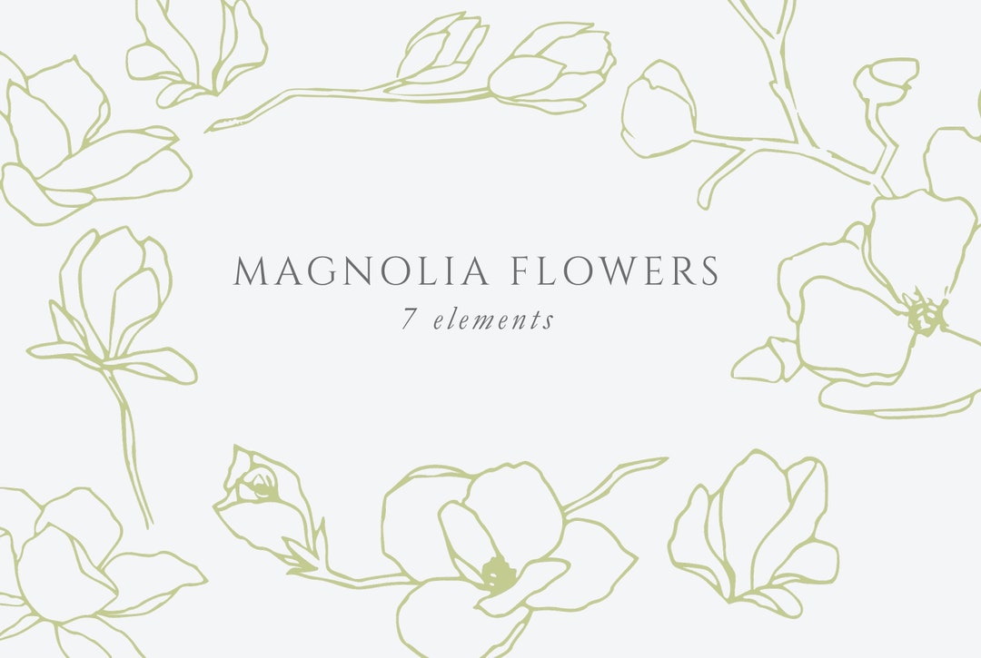 Fine Line Art Hand Drawn Magnolia Flowers | Botanical Illustrations ...