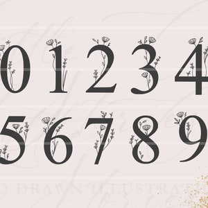 Floral Numbers SVG, Botanical Numbers, Flowers Numbers PNG, Vector ...