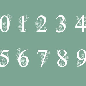 Floral Numbers SVG, Botanical Numbers, Flowers Numbers PNG, Vector ...