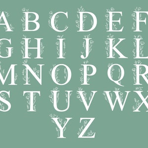 Flowers Frames SVG Bundle, Floral Letters PNG, Floral Numbers SVG ...