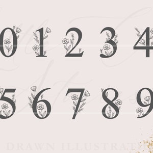 Floral Numbers SVG, Botanical Numbers, Flowers Numbers PNG, Vector ...