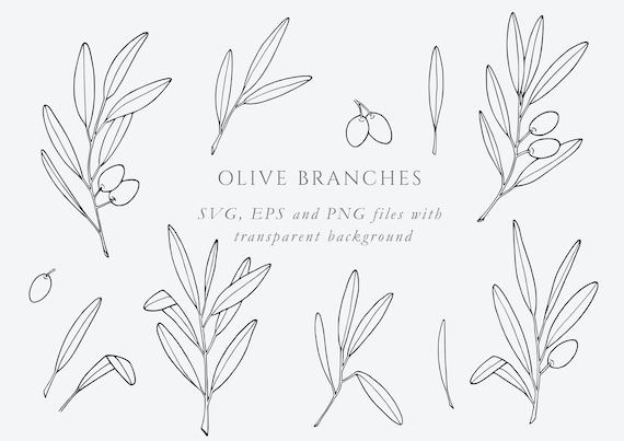 Olive Branch Line