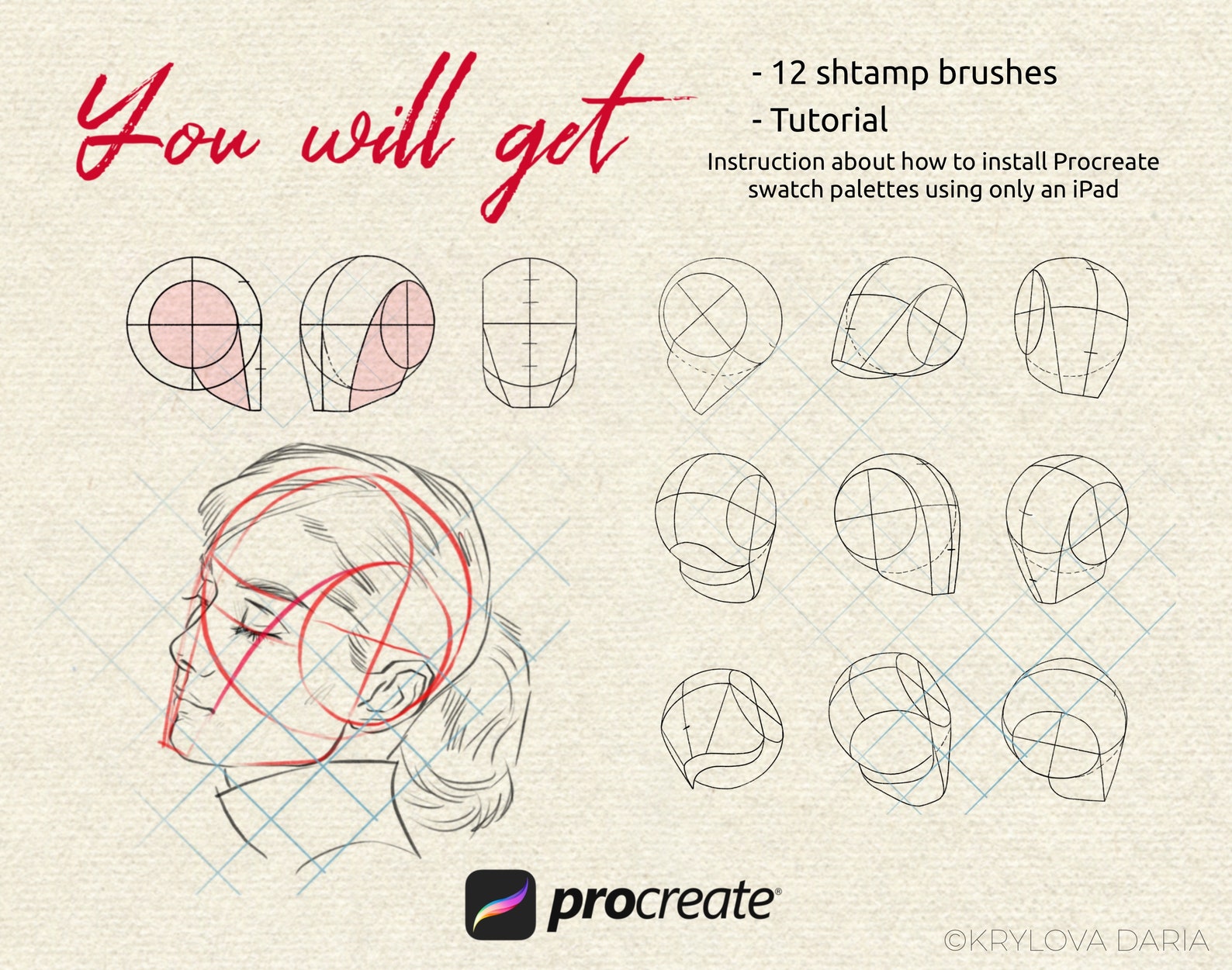 Portrait Guide Procreate Brushes Sketch Model Face | Etsy