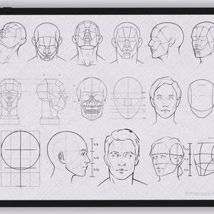 Procreate Portrait Guide Stamps | Procreate Portrait Brushes ...